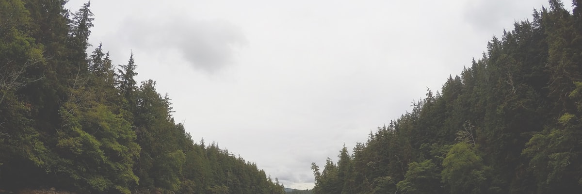 Python Hub Weekly Digest For 2019 12 15